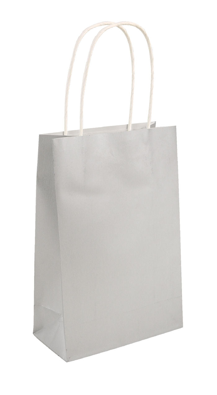 6 Silver Bags With Handles | Cazaar