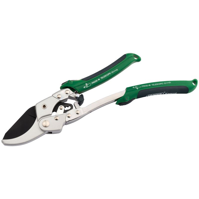 Draper 2 in 1 Anvil Pattern Ratchet Pruner and M... | Cazaar