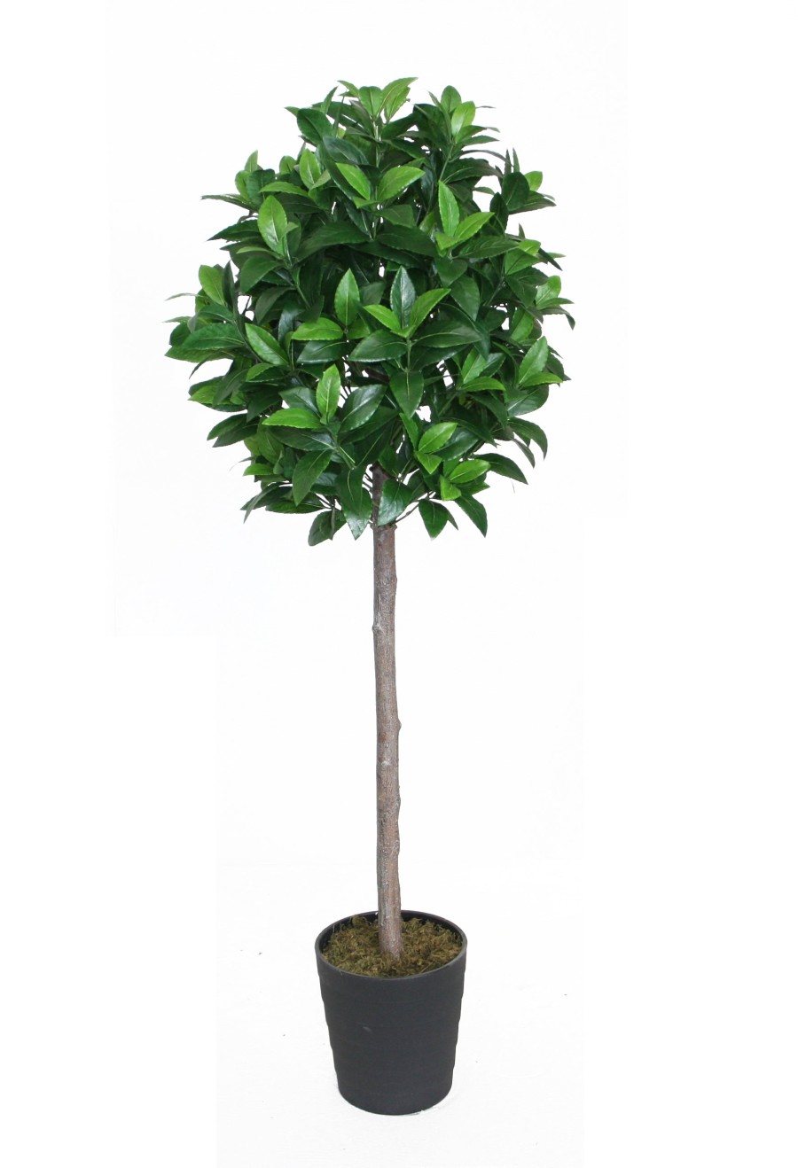 Best Artificial 4ft - 120cm Bay Tree | Cazaar