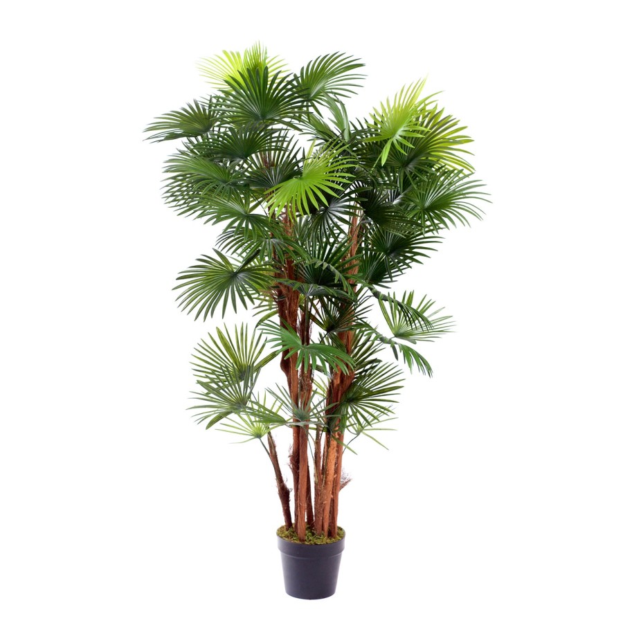 Best Artificial 5ft - 150cm Spider Finger Palm Tree | Cazaar