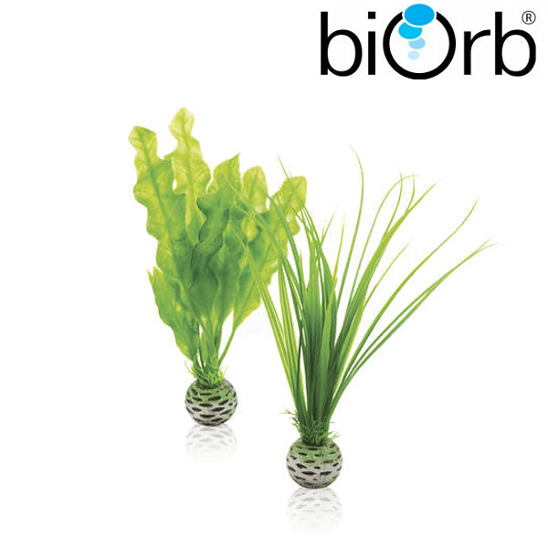 BiOrb Easy Plant Set Green Small Pk of 2 46055 | Cazaar