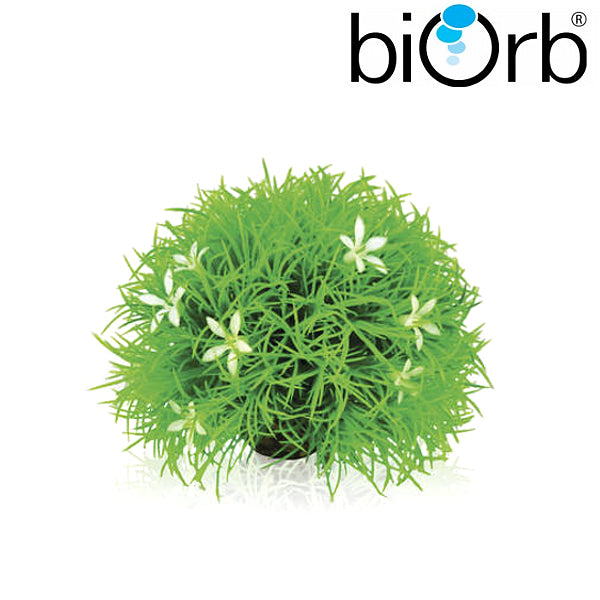 BiOrb Topiary Ball with Daisies 46086 | Cazaar
