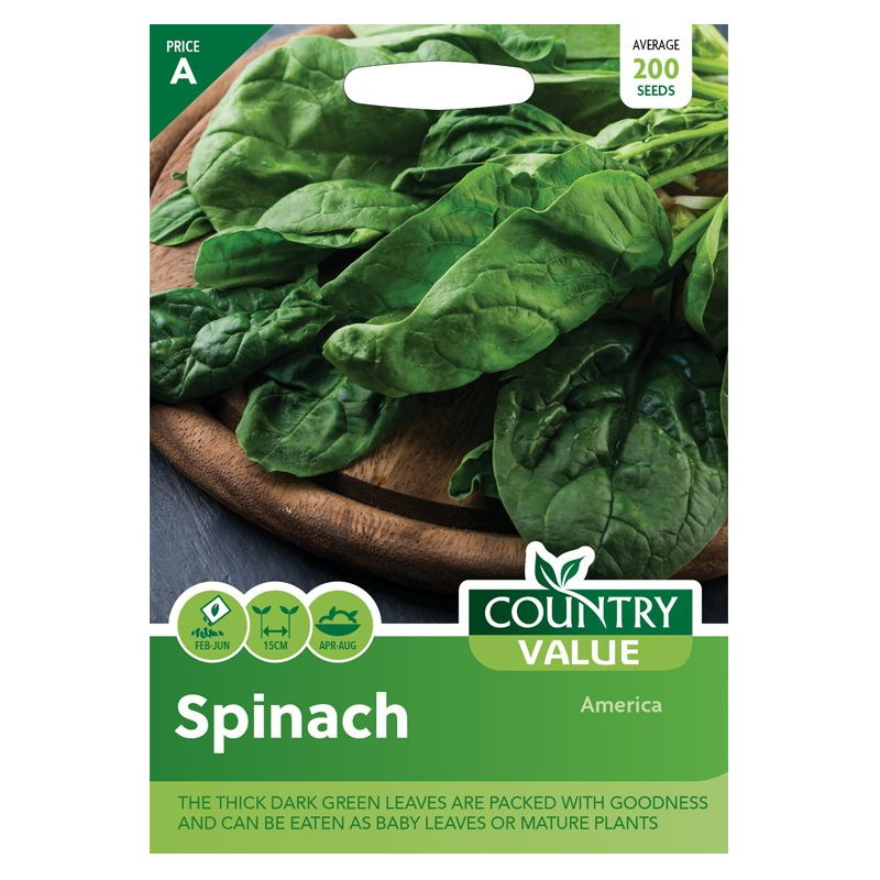 Spinach America Seeds Packet - Garden Greens | Cazaar