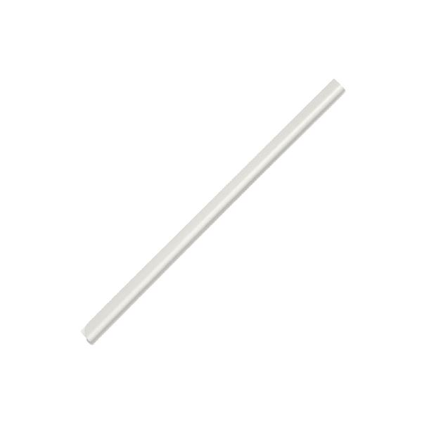 Durable Spine Bar 6mm White Box 100 - DB290102 | Cazaar