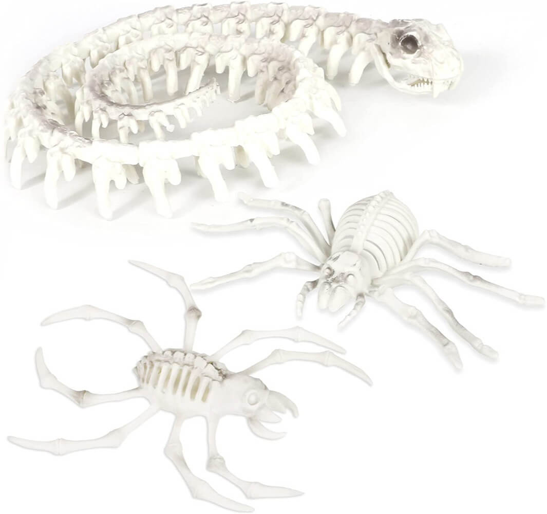 Halloween Skeleton Animals - Pack of 3 Skeletal ... | Cazaar