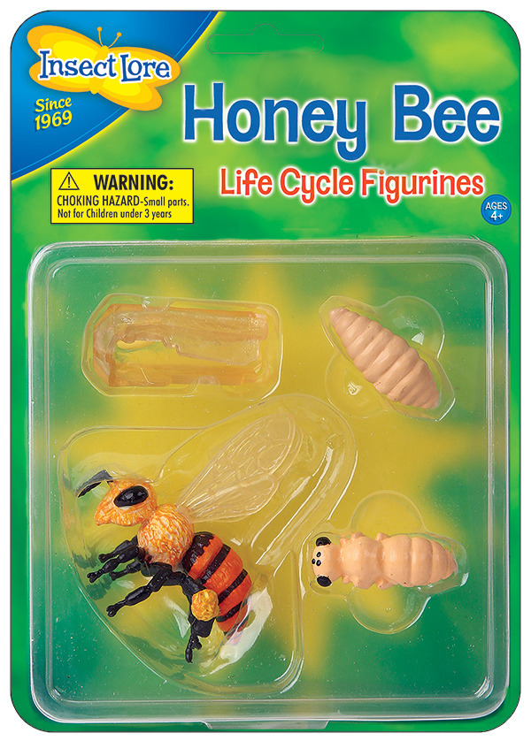 Life Cycle Figurines - Honey Bee | Cazaar