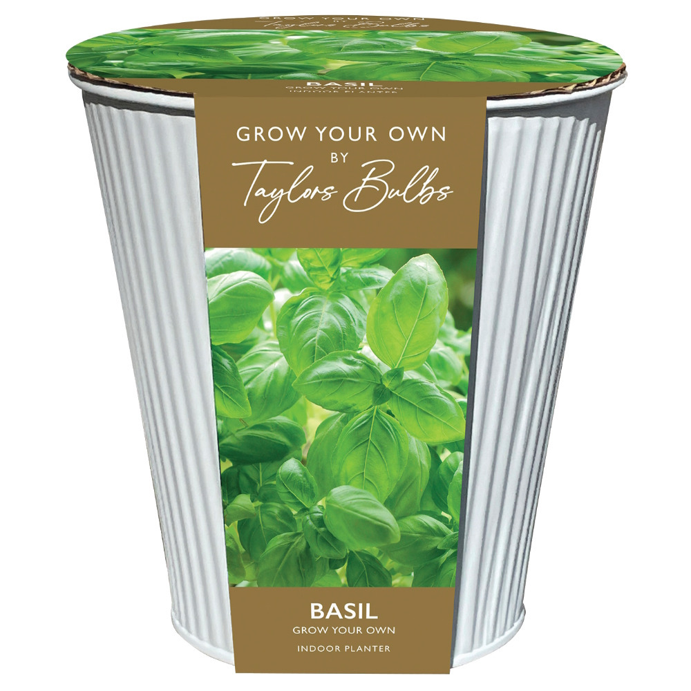 Indoor Basil Planter by Taylors Bulbs | Cazaar
