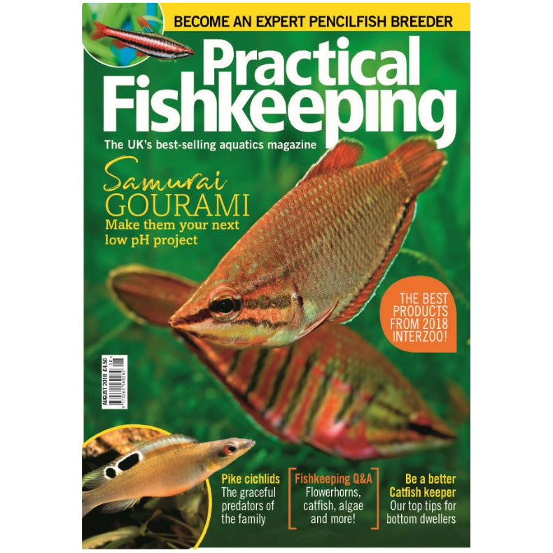 Practical Fishkeeping Magazine August 2018 Issue... | Cazaar